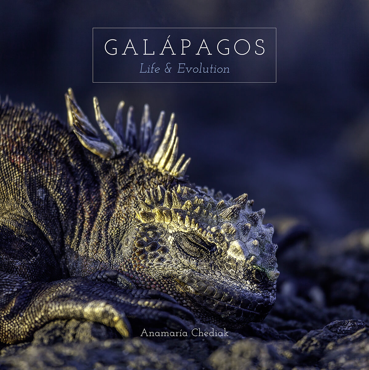 Galápagos Life & Evolution – Anamaria Chediak